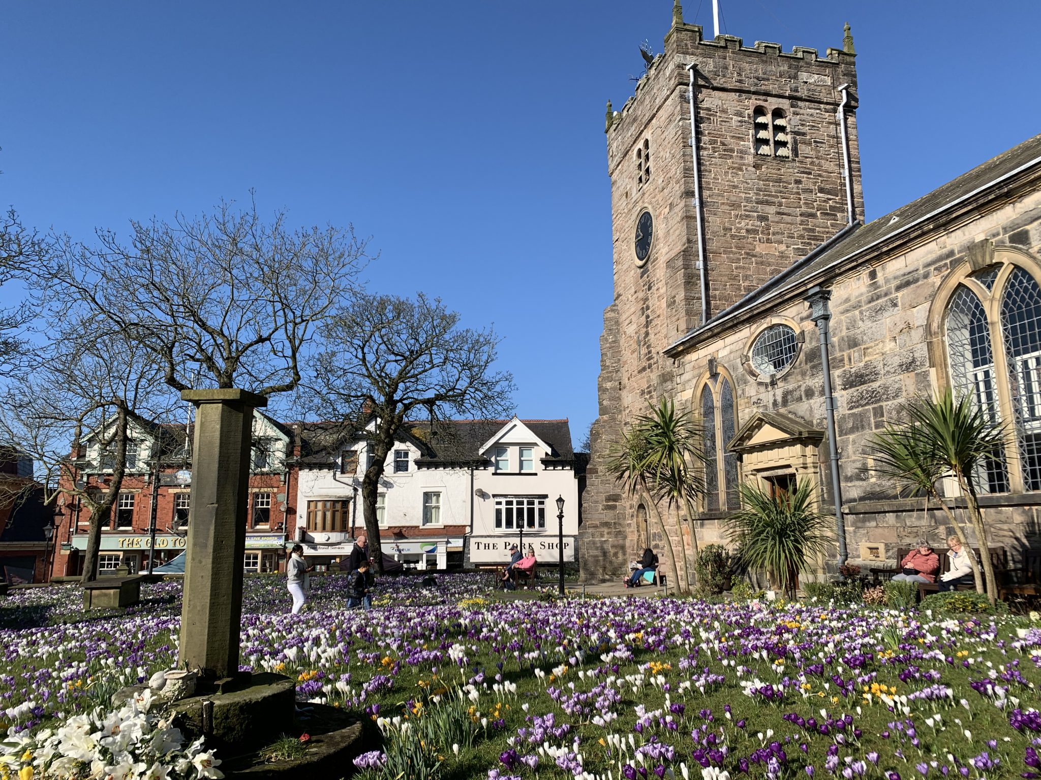 Crocus at St Chad's Church • Visit Poulton-le-Fylde